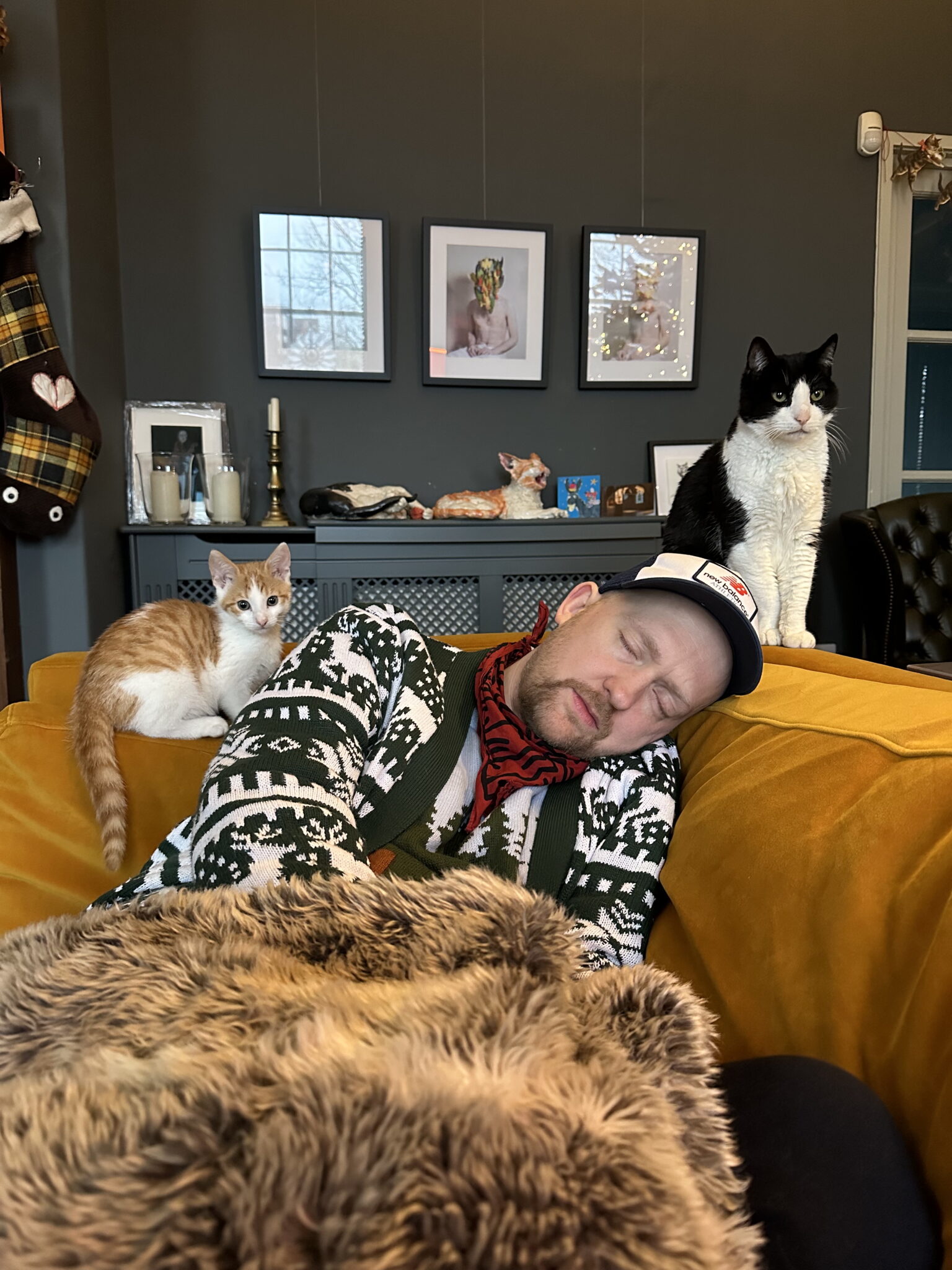 Biography - Benjamin Bee